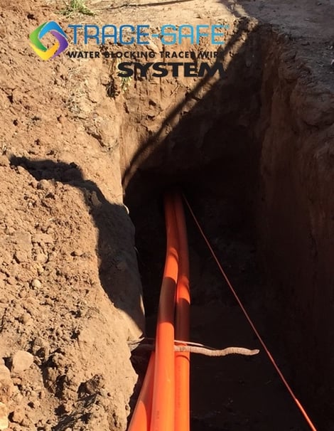 Which Trace Safe is Best for Your Application?