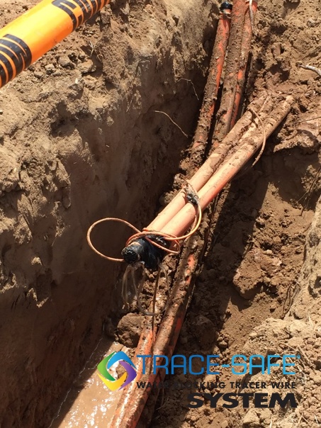 Which Trace Safe is Best for Your Application?